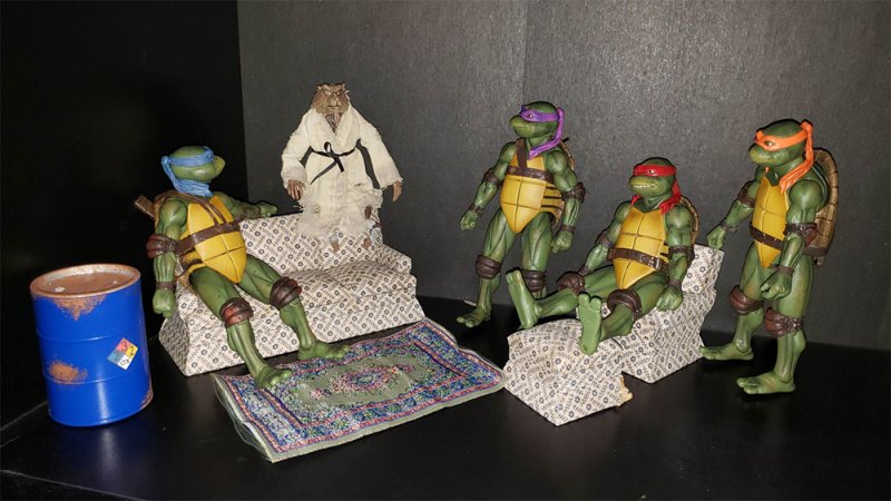 Teenage Mutant Ninja Turtles, and the Tiniest baseball cards, ever ...